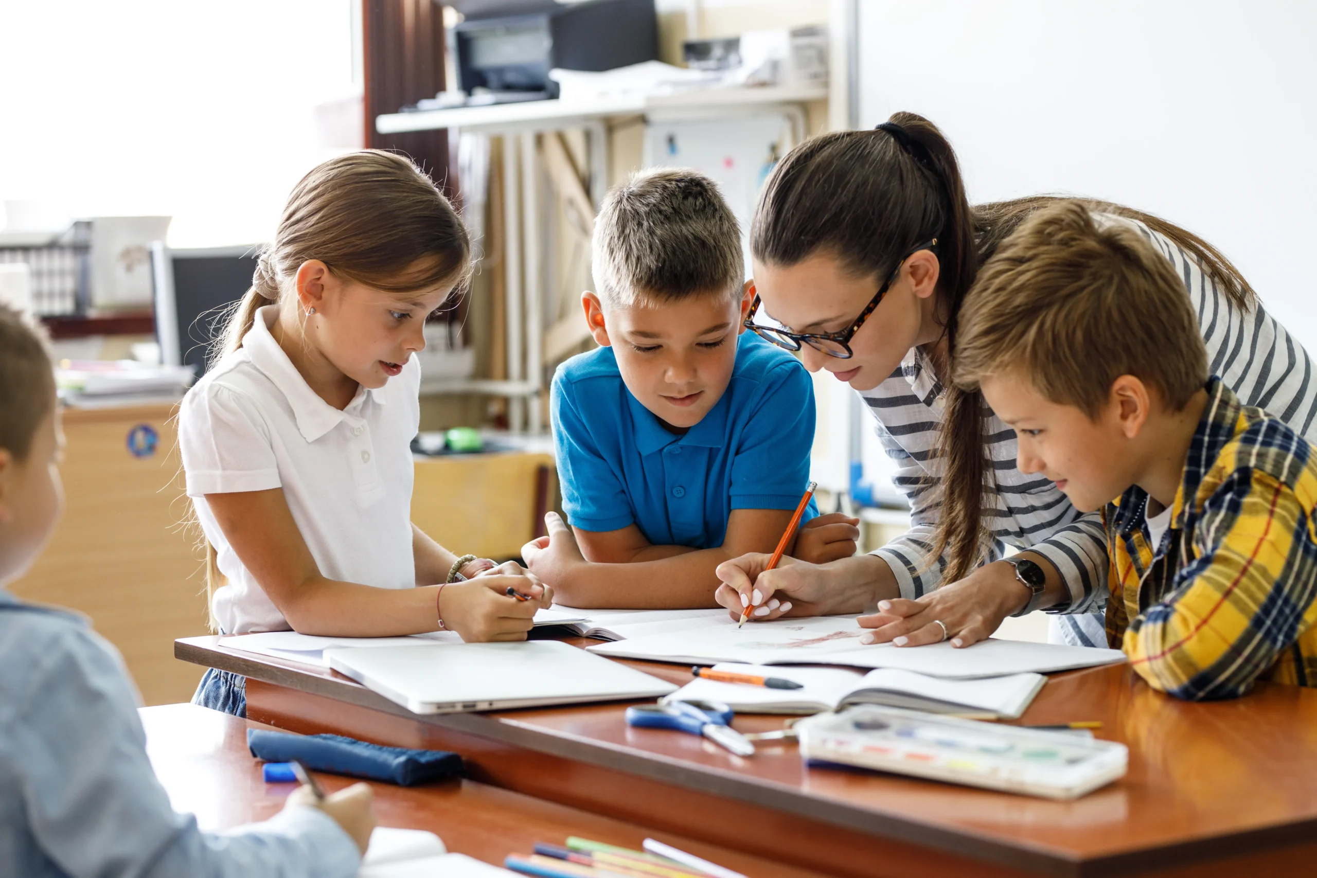 North Shore Primary Schools: Top Zones and Schools